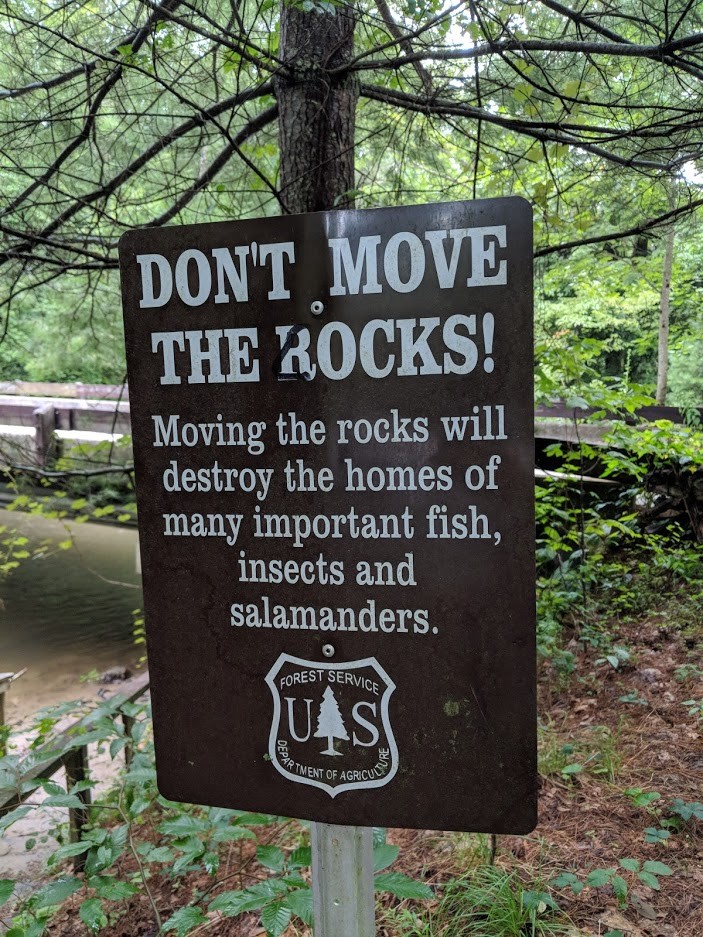 The Desperate Plea of the Hellbender: A Symbol of Ancient Appalachia ...